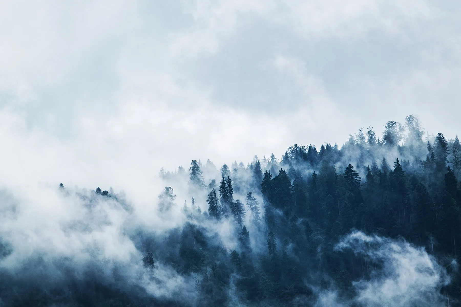Top 34 Imagen Background Image In Bootstrap Thpthoangvanthu edu vn